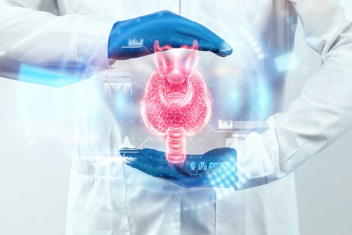 Services – Nitek Medical